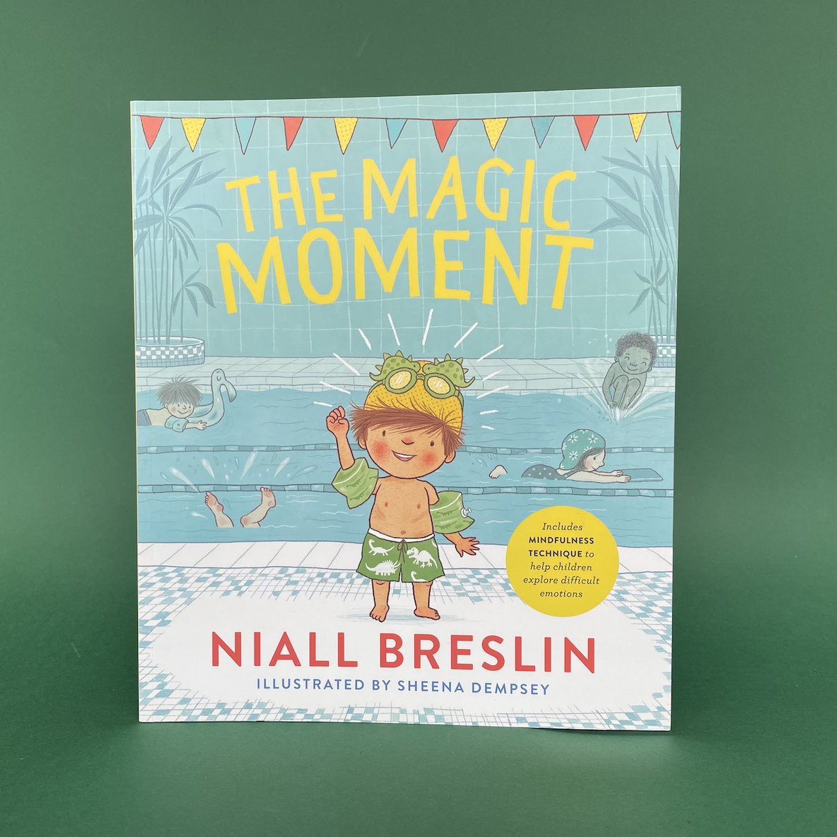 Northern Irish | The Magic Moment | Children's Book – Born & Bred